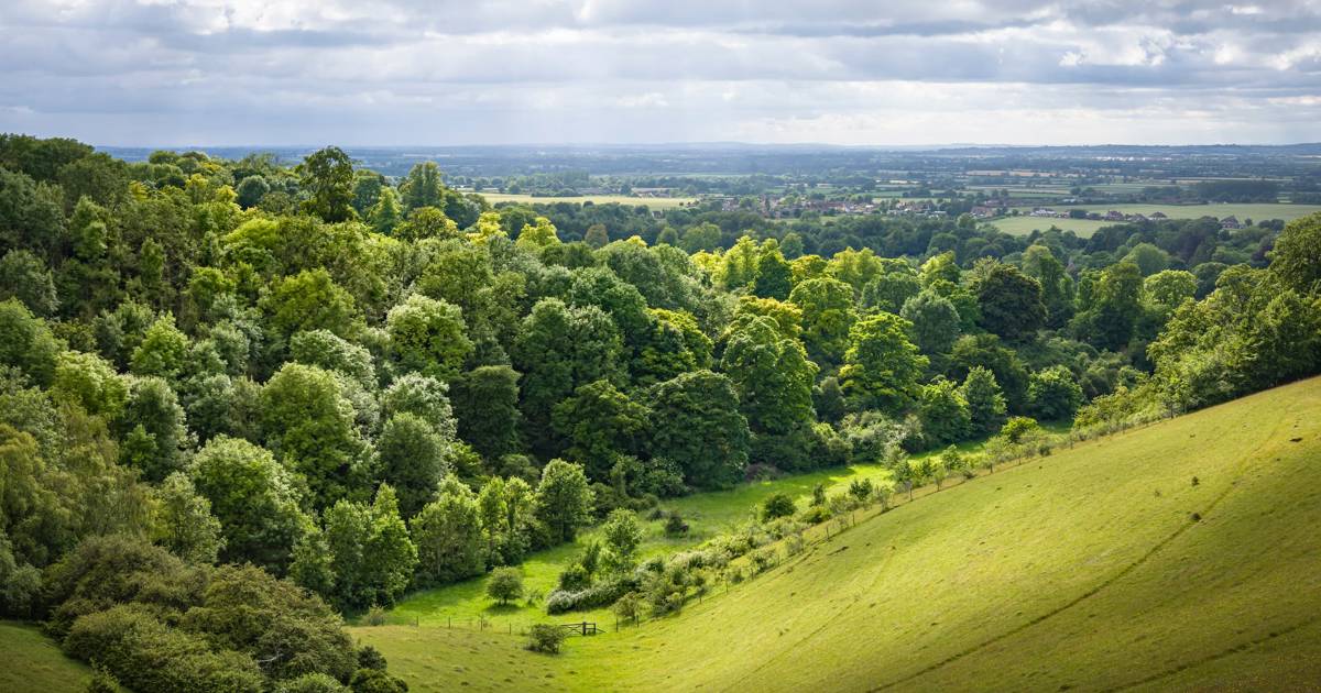 Acquisition of NLG Ecology | Phenna Group